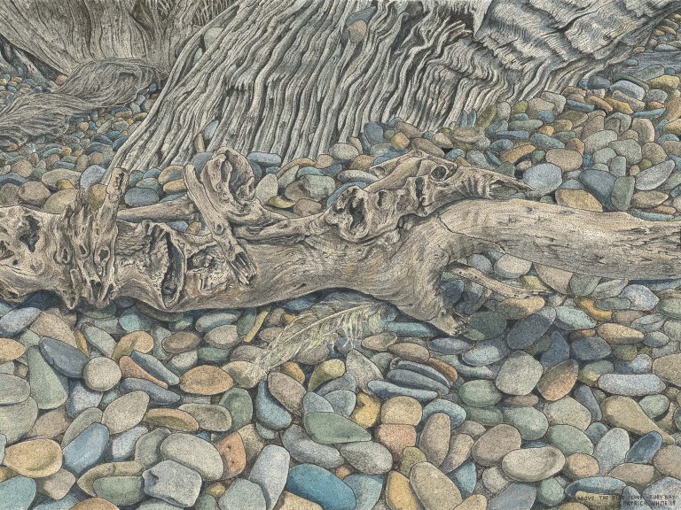 Patrick White – Artist capturing the magic of the Tasman Bay