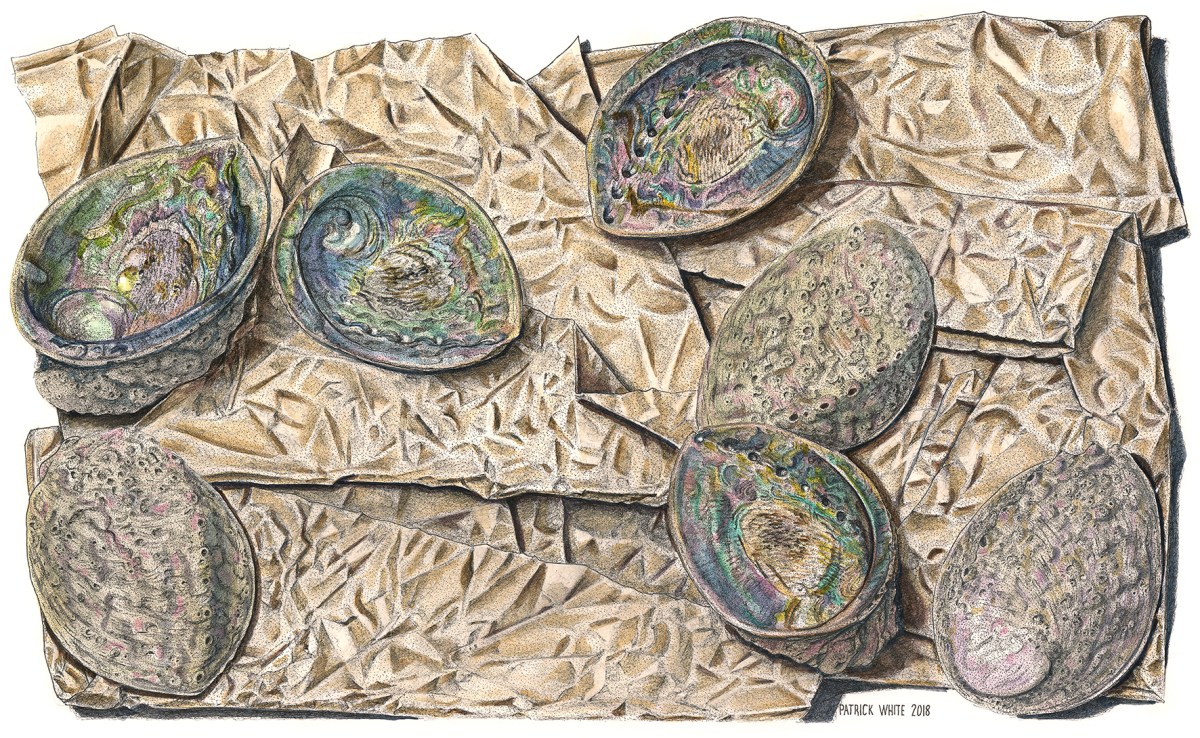 Paua on Paper – Patrick White